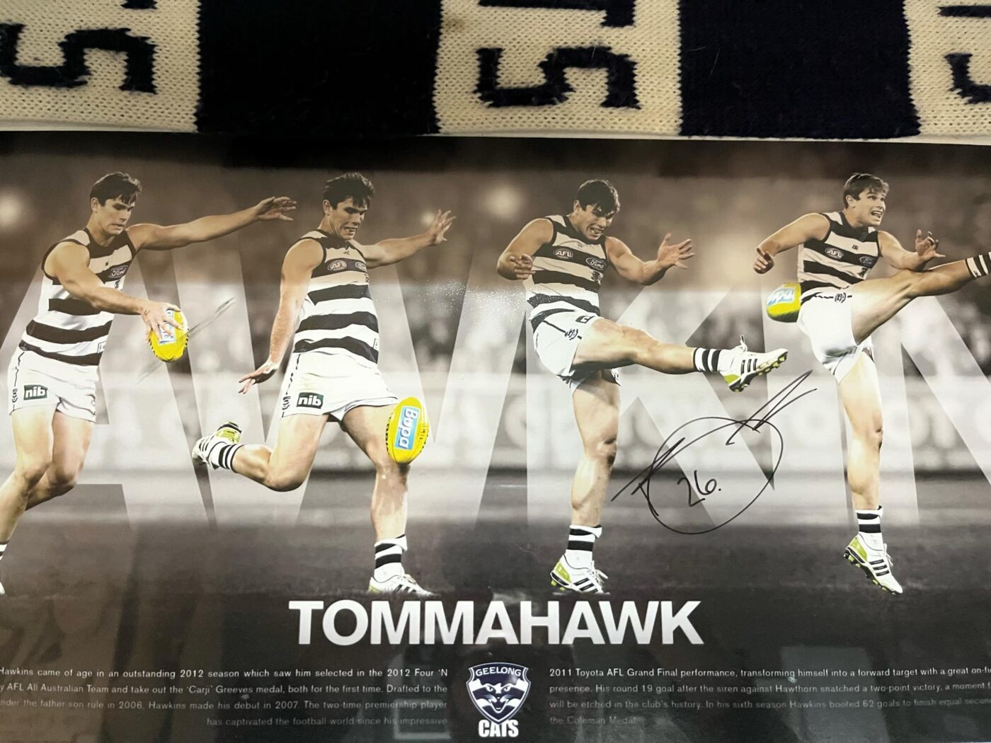 The Ten Defining Games Of Tom Hawkins' Career - The Mongrel Punt